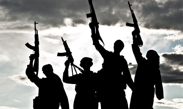 Techniques du terrorisme : Méthodes et pratiques du « métier terroriste ...